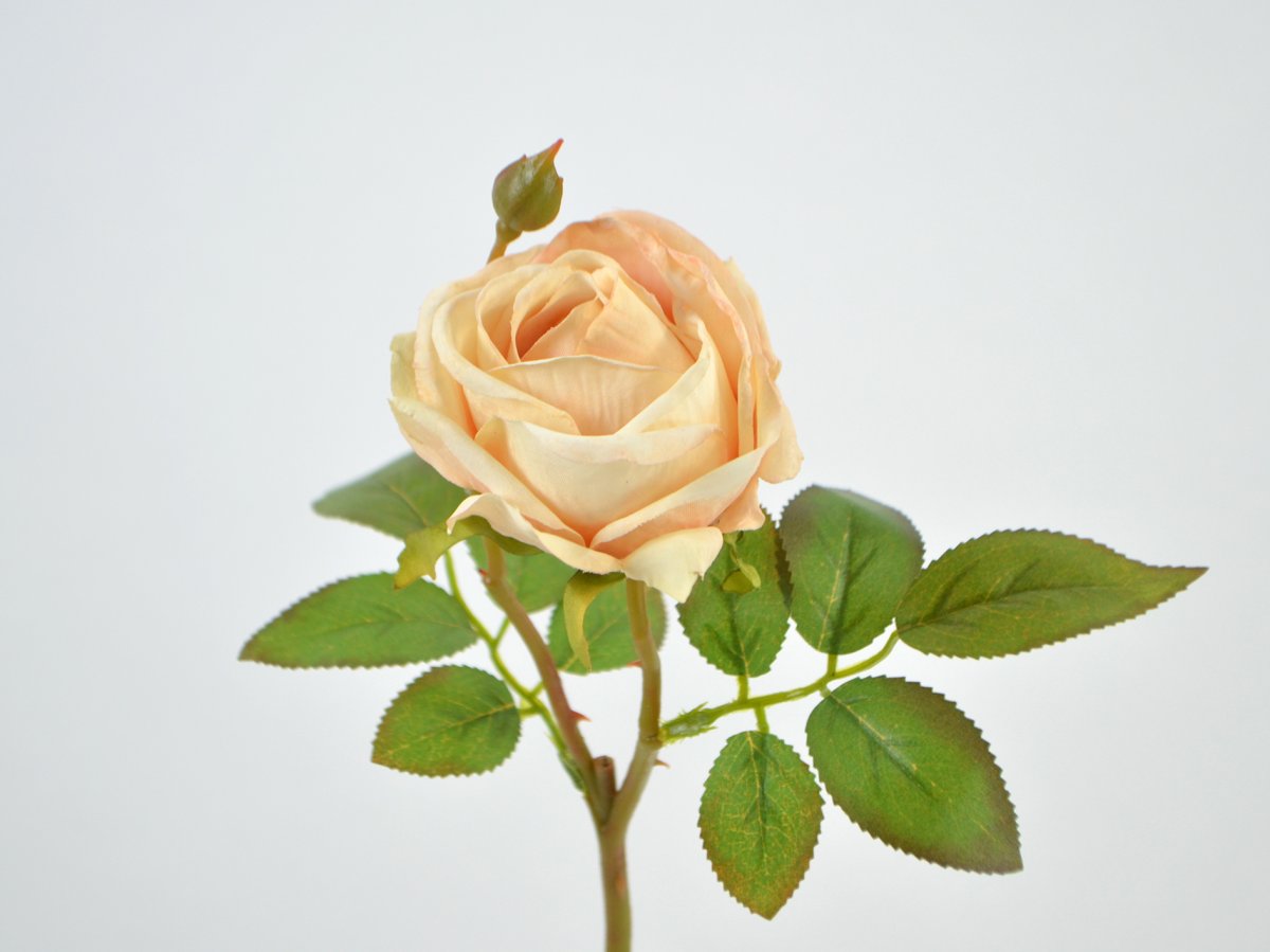 DEKO FLORALE, Kunstig rose, 44cm, cream - Kunstige roser - Lykkesholm I ...